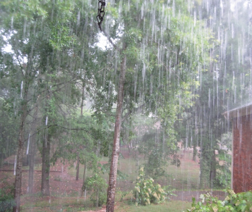 Storm – Dorothy Scott Boulware