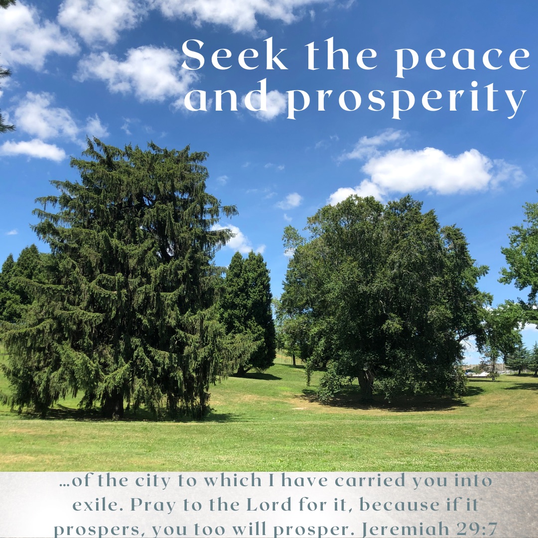 About – Dorothy Scott Boulware